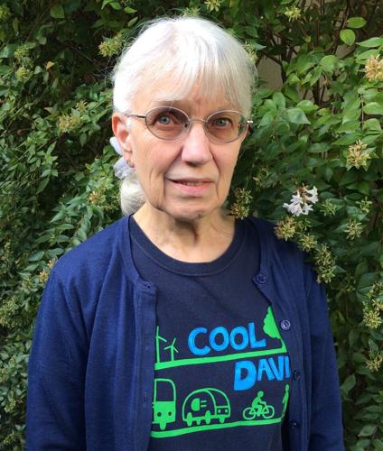 All invited to celebrate United Nations Day | News | davisenterprise.com