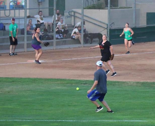 City seeks state funds for Playfields Park renovations, including more ...