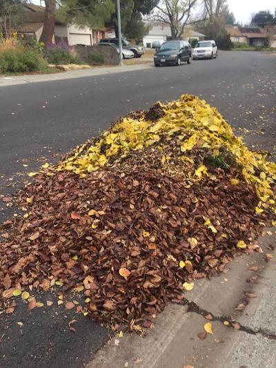 Bob Dunning: City turning over a new leaf | Bob Dunning ...