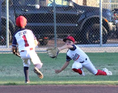 Baseball: Davis Little League kicks off season Saturday | Sports ...