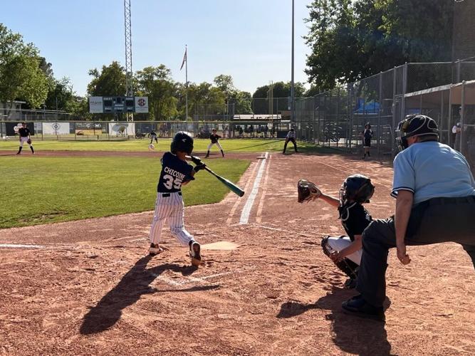 Pitchers shine in DLL showdown | Sports | davisenterprise.com