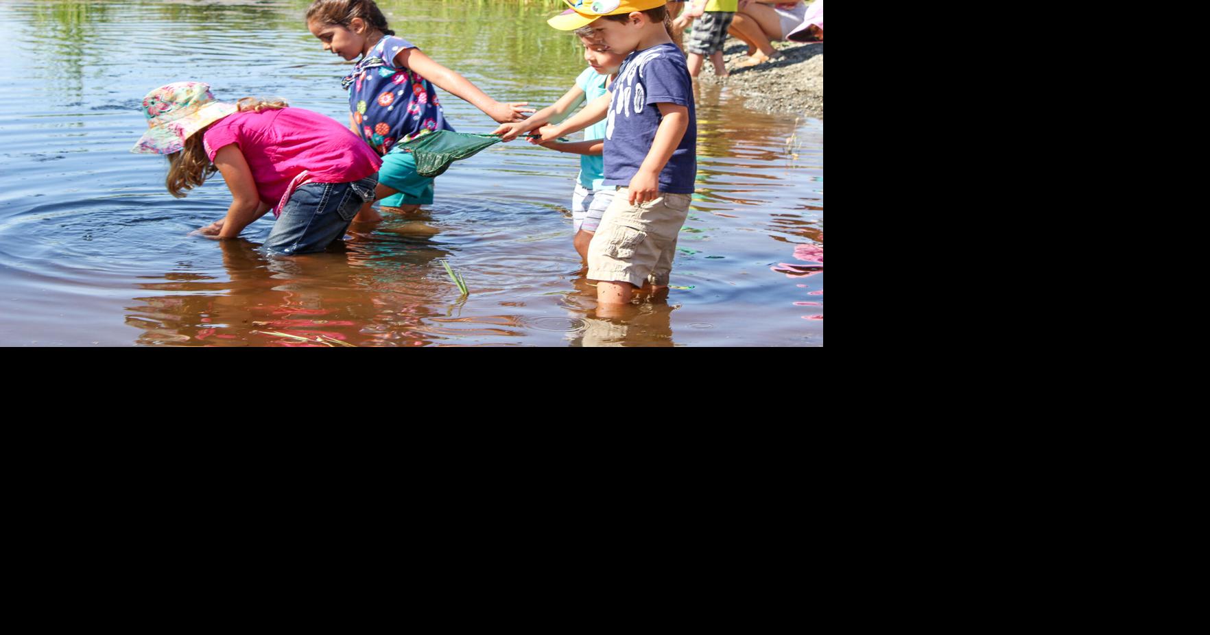 Wacky Wilderness Days are back at Cache Creek Nature Preserve | News ...
