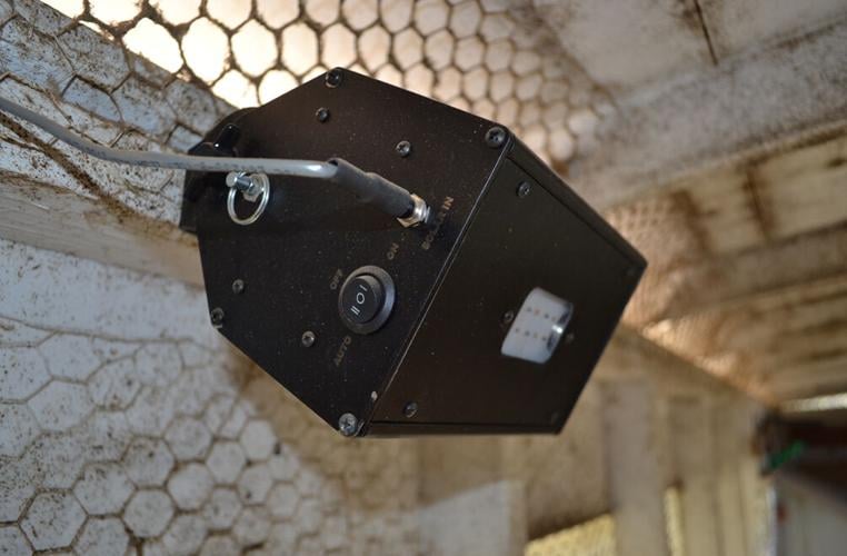 Hen Light photos | Do-not-import | davisenterprise.com