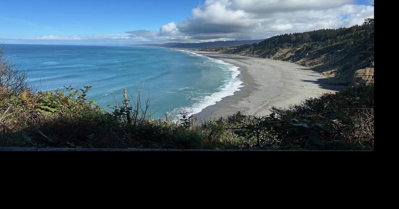 At the Pond: Arcata, Yolo Basin and Davis ponds — beautiful nature ...