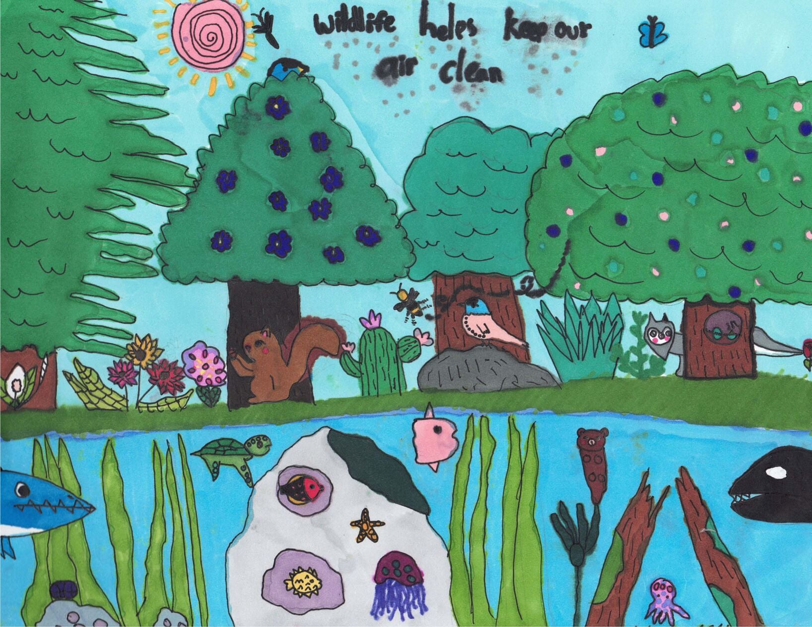 Air District celebrates winners of annual Clean Air Art Contest | News ...