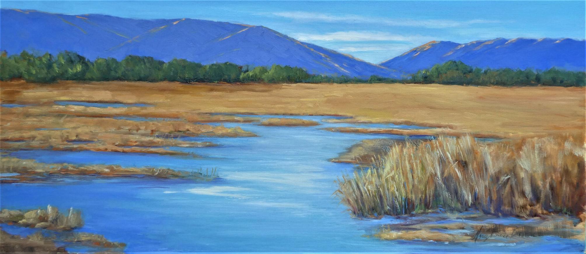 Celebrate Yolo Basin Foundation’s 29th annual Bucks for Ducks Gala ...