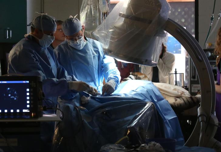 Tiger surgery photos | Do-not-import | davisenterprise.com