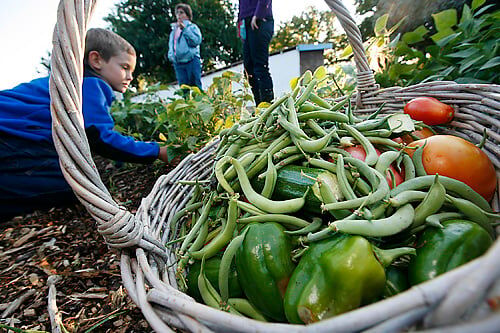 Grace Garden photos | Do-not-import | davisenterprise.com