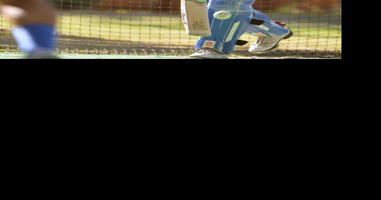 Davis cricket club | Do-not-import | davisenterprise.com