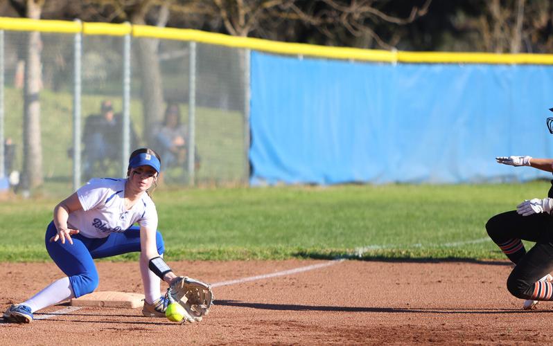 Local roundup: DHS softball loses home opener | Sports ...