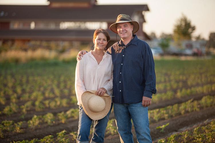 Collins farm | Do-not-import | davisenterprise.com