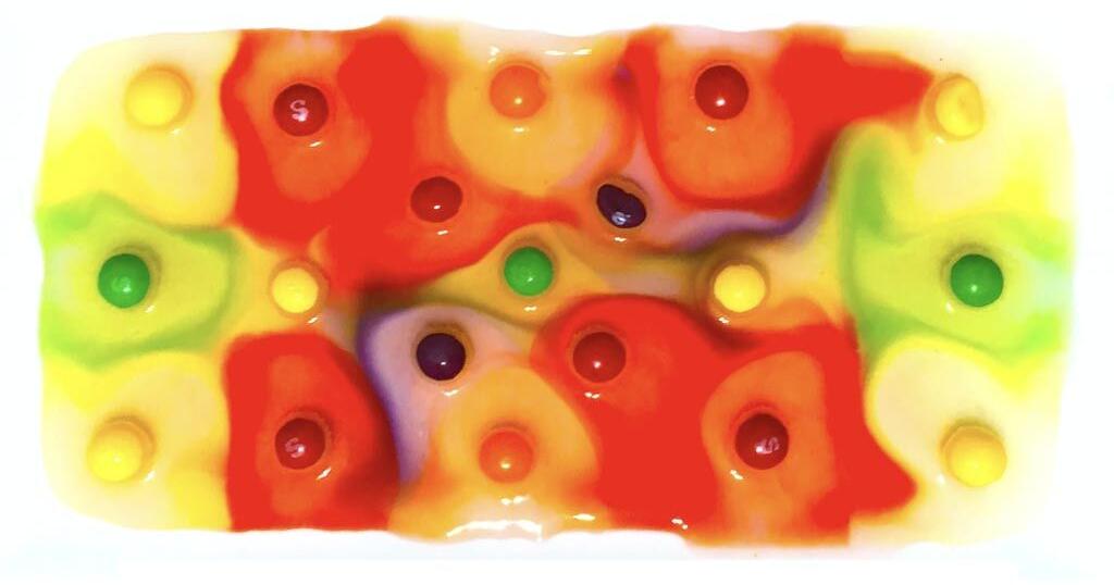 Explorit: Rainbow candy experiment | Features | davisenterprise.com