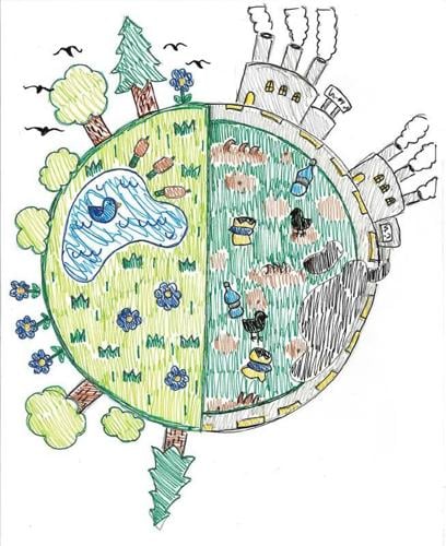 Air District celebrates winners of annual Clean Air Art Contest | News ...