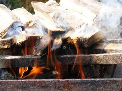 log fire not burning