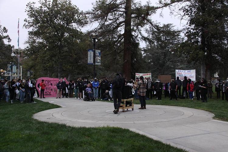 uc davis students pepper sprayed