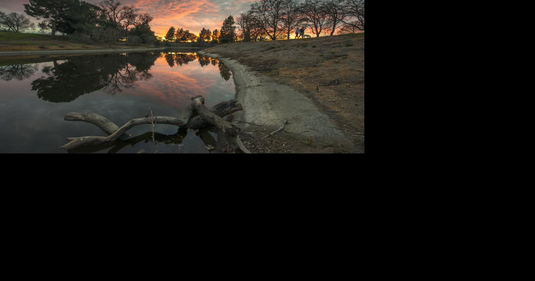 UCD Arboretum | News | davisenterprise.com