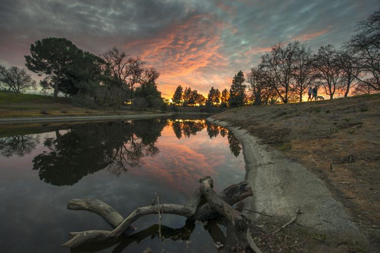 UCD Arboretum | News | davisenterprise.com