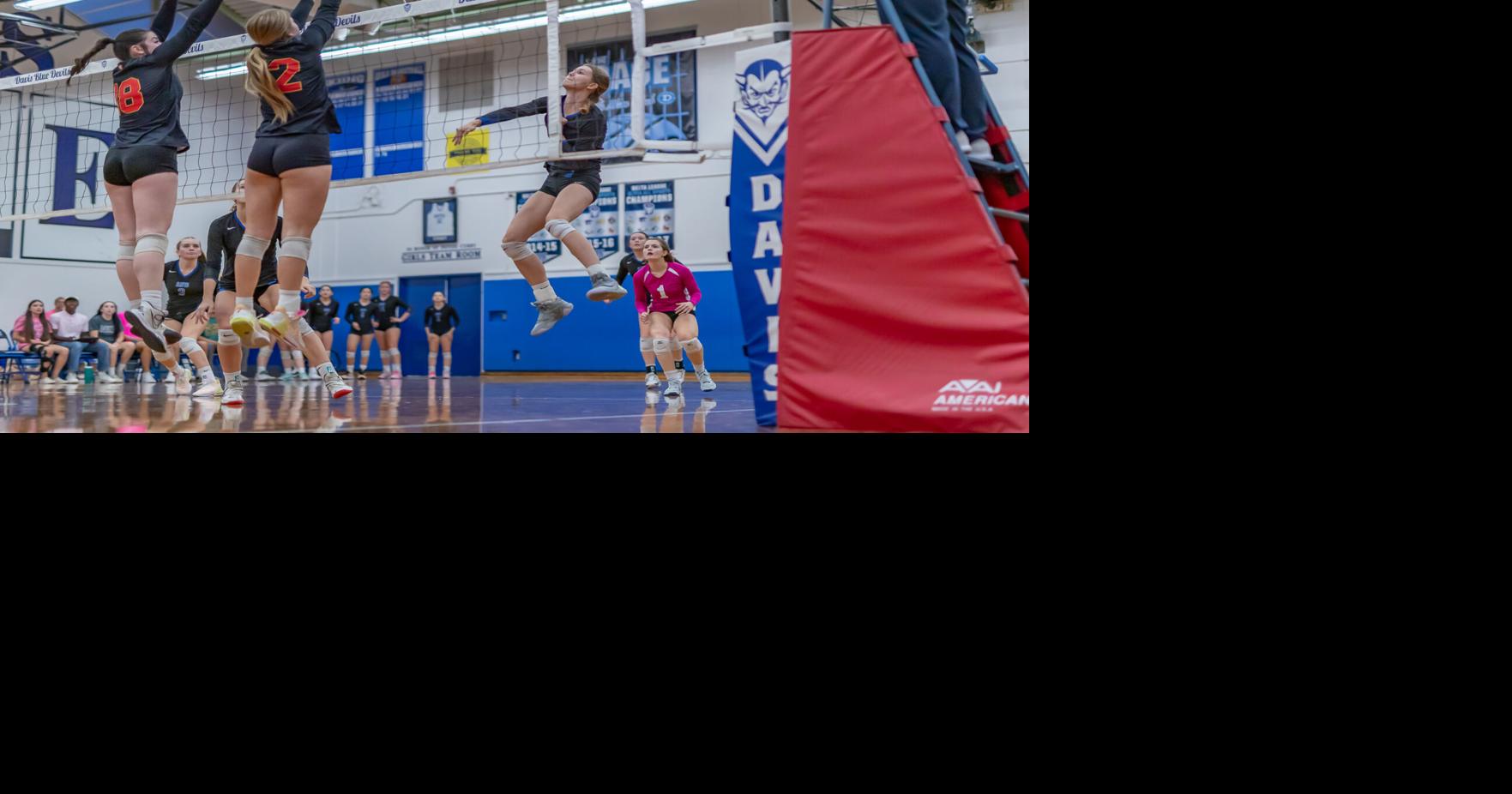 Volleyball: DHS squad can't get past St. Francis | Sports ...