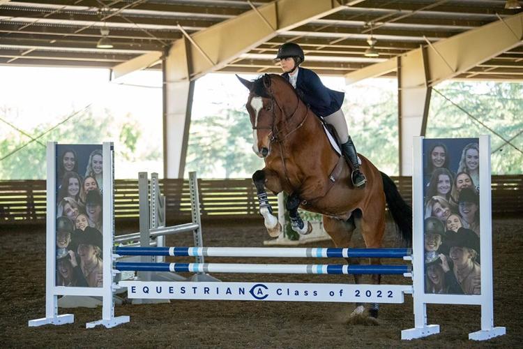 Local roundup: Aggie equestrian honored | Aggies | davisenterprise.com