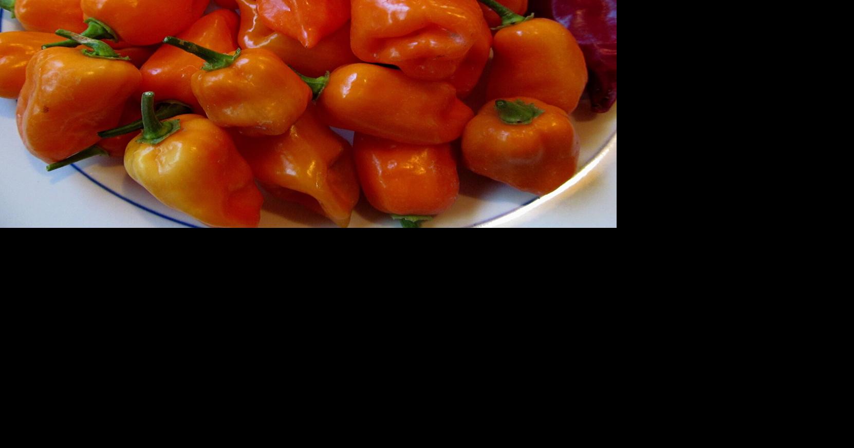 Don Shor: Disease, weed problems follow a moist spring | Gardening ...