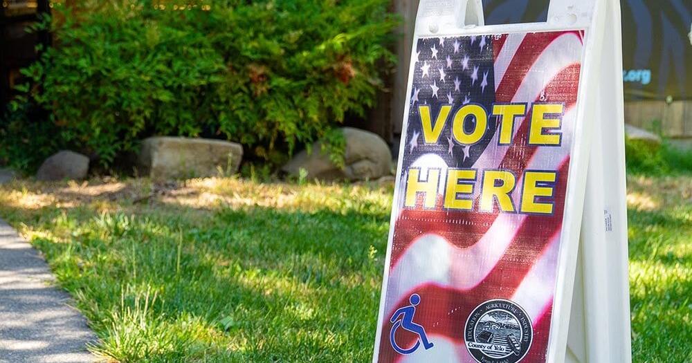 Election: What Davis locals will be voting on this November | News ...
