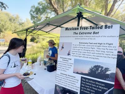 Same bat time ... | News | davisenterprise.com