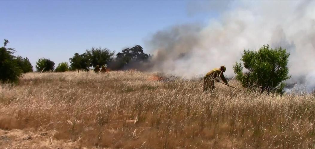 Restoration work to begin at Capay Open Space Park | News ...
