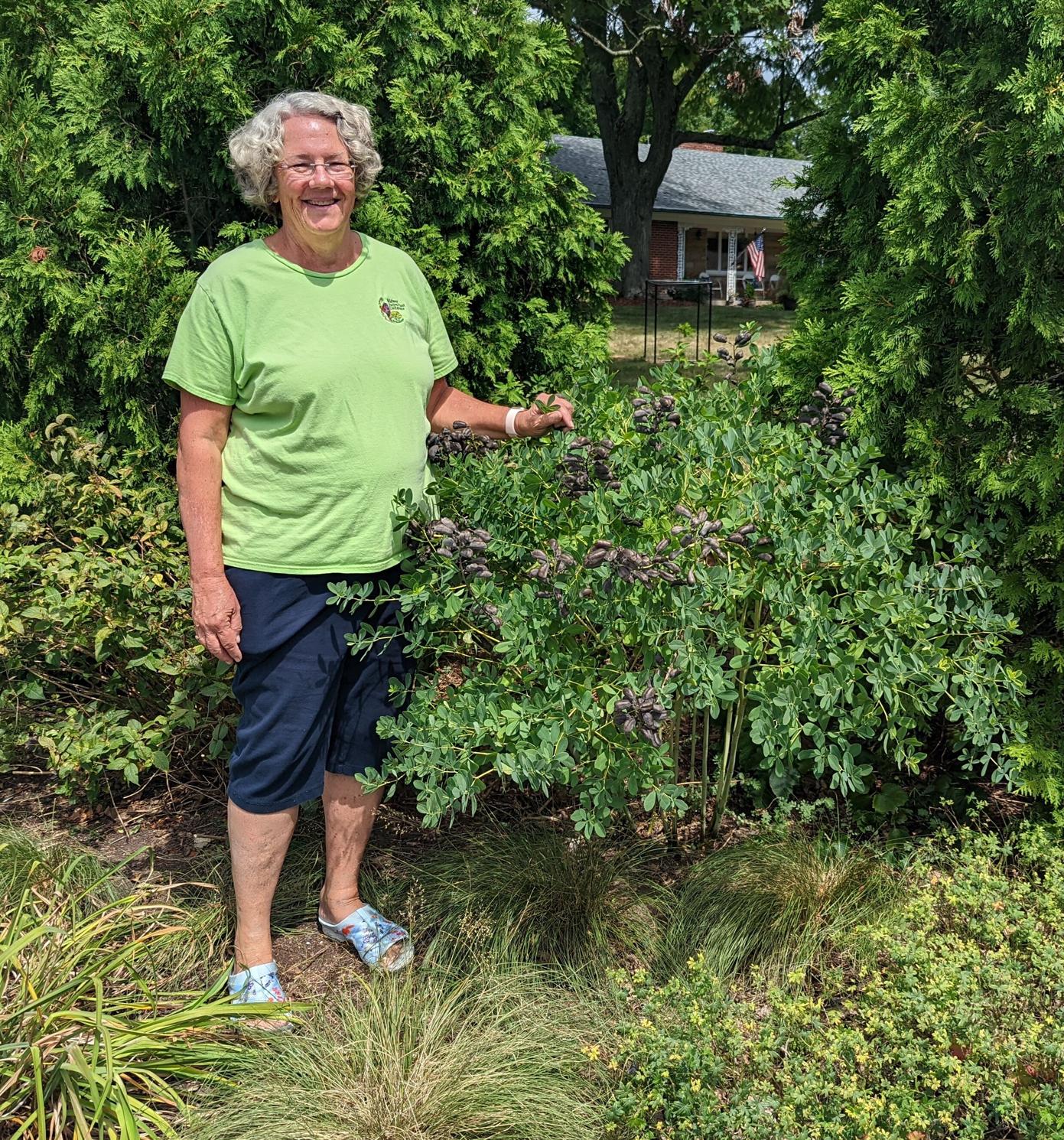 Native plants great addition to gardens | Local | daytondailynews.com