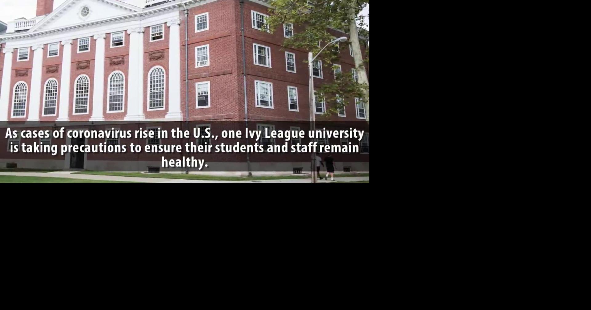 Coronavirus: Harvard moves to online classes, asks students not to ...