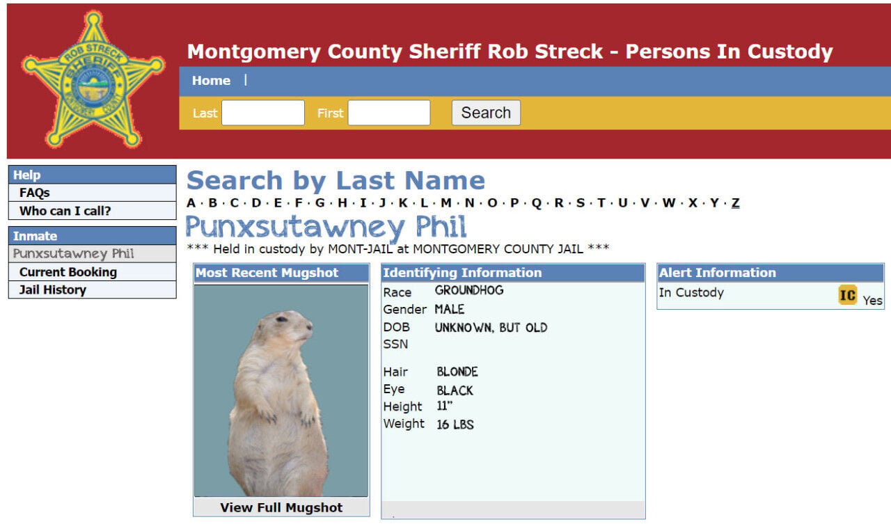 Sheriff jails Punxsutawney Phil for prolonging winter | Local ...