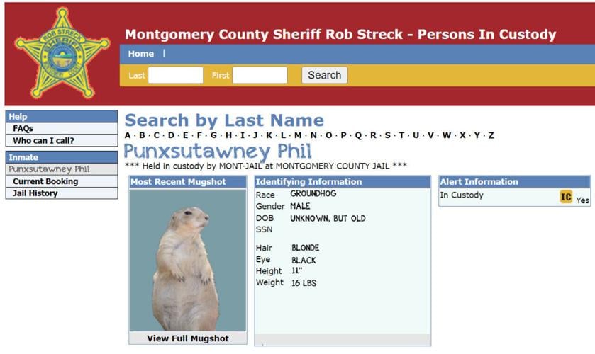 Sheriff jails Punxsutawney Phil for prolonging winter | Local ...
