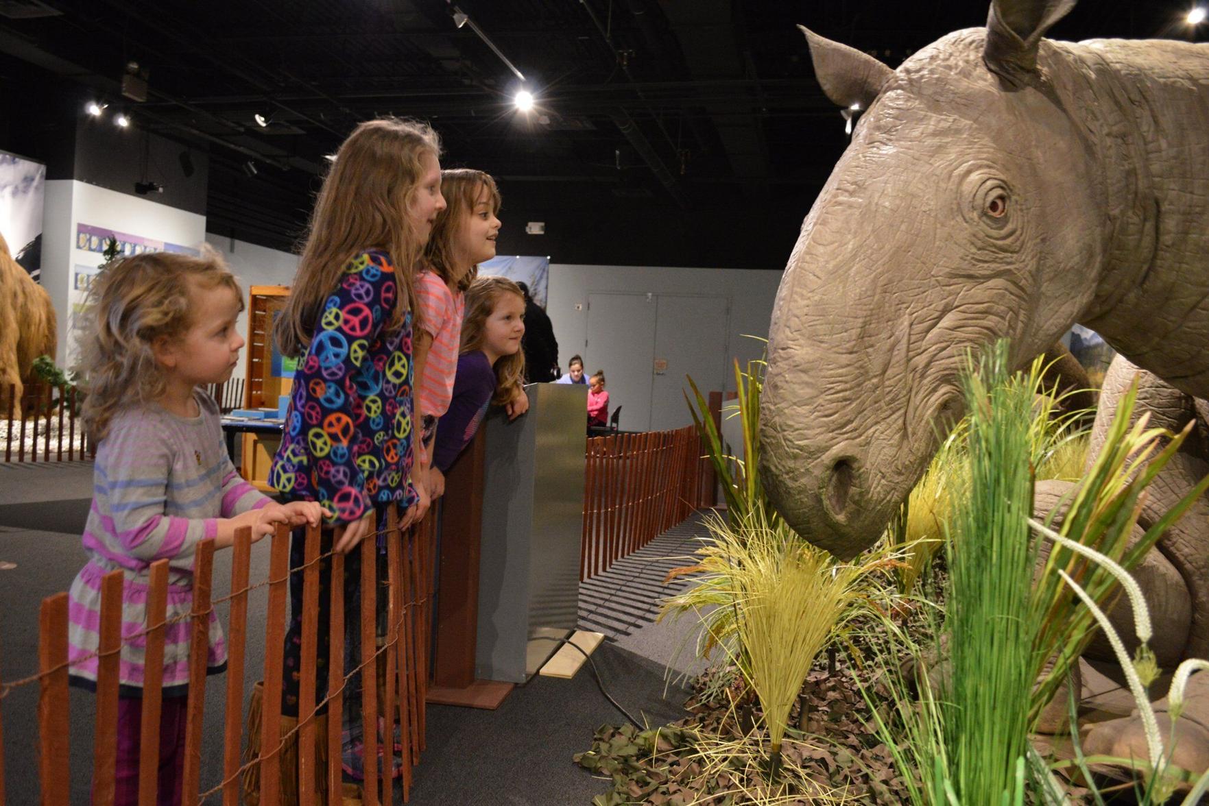 Mammal, Ice Age exhibit at Boonshoft Museum of Discovery, Dayton, OH ...