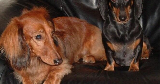 3 things you must see today on MyDaytonDailyNews: | Local | daytondailynews.com