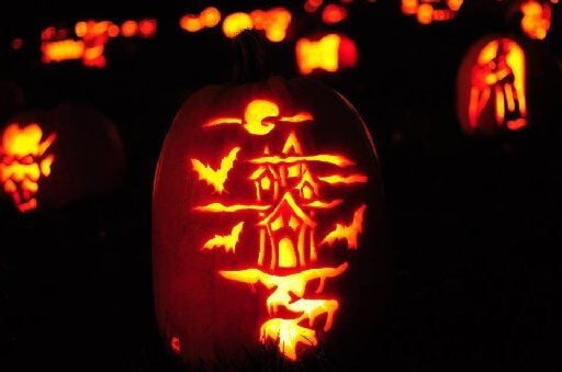 Fall Harvest Festival to take place in Dayton Convention Center | Local ...