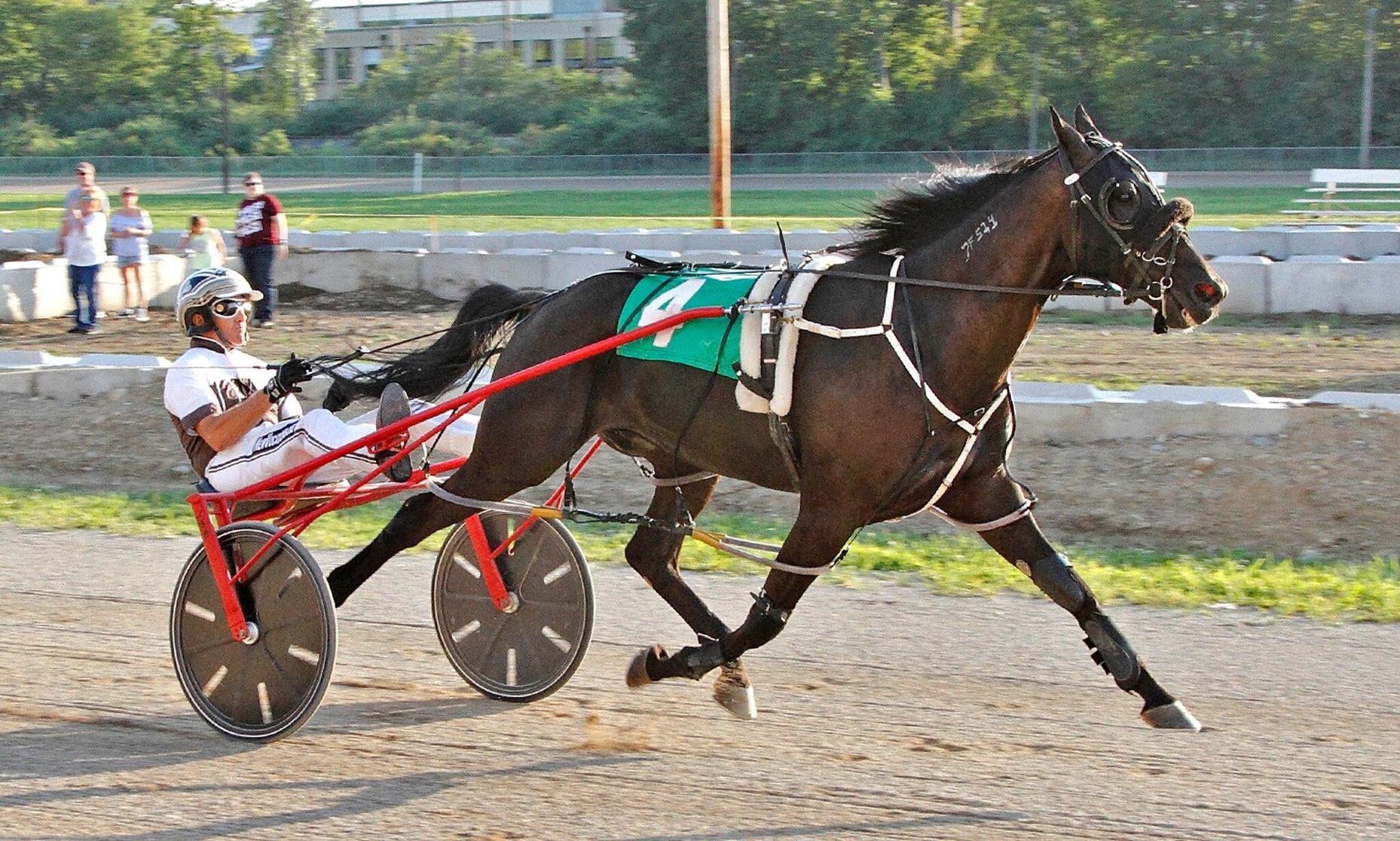 Legendary harness driver Tony Morgan wins race honoring family | Sports ...