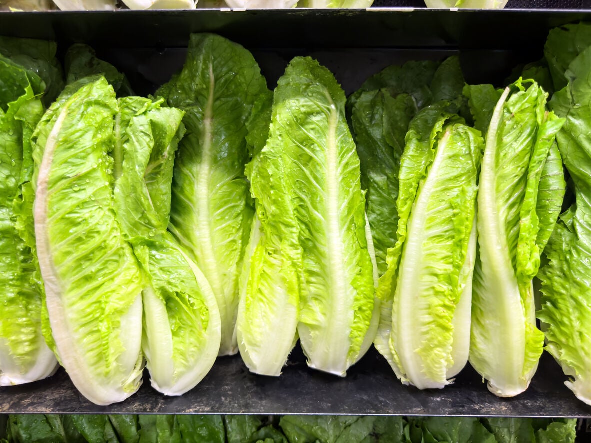 Giving in to grilling Romaine was transformational | Food & Dining ...