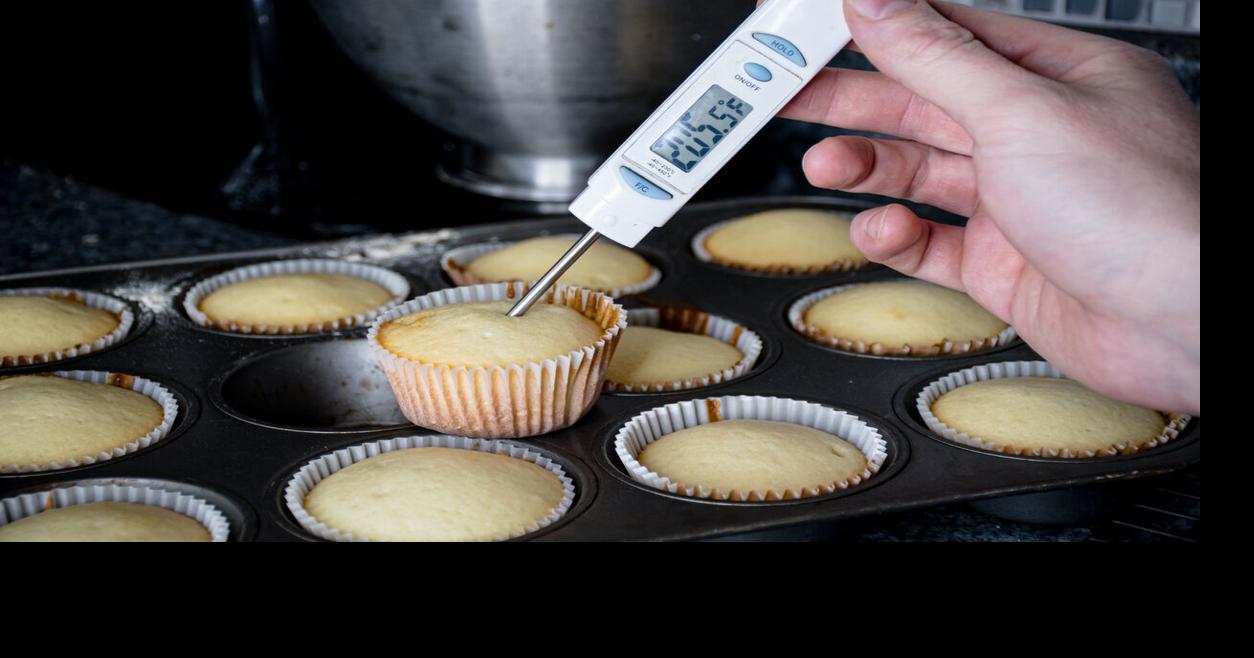 Which is better for food safety, a digital or a dial thermometer ...