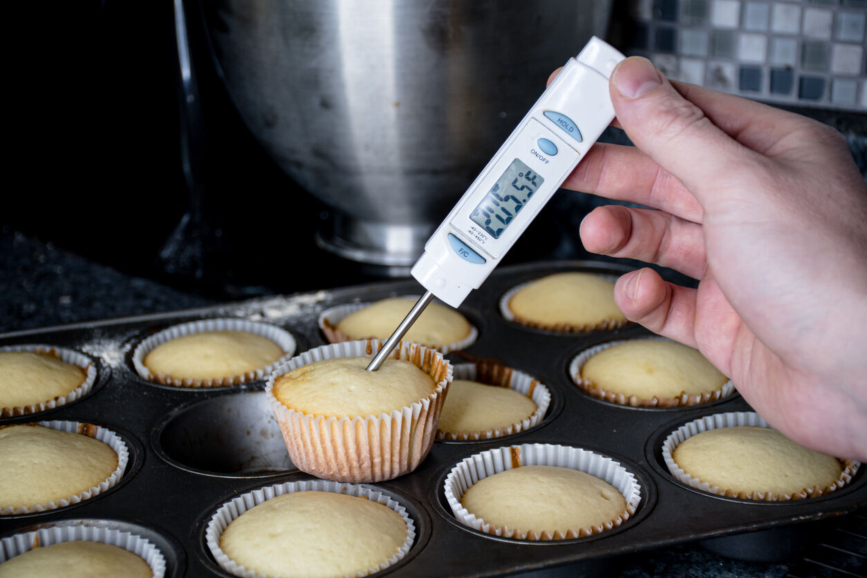 Which is better for food safety, a digital or a dial thermometer ...