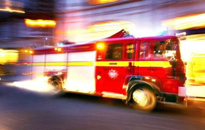 Multiple animals, including 100 birds, killed in Dayton house fire ...