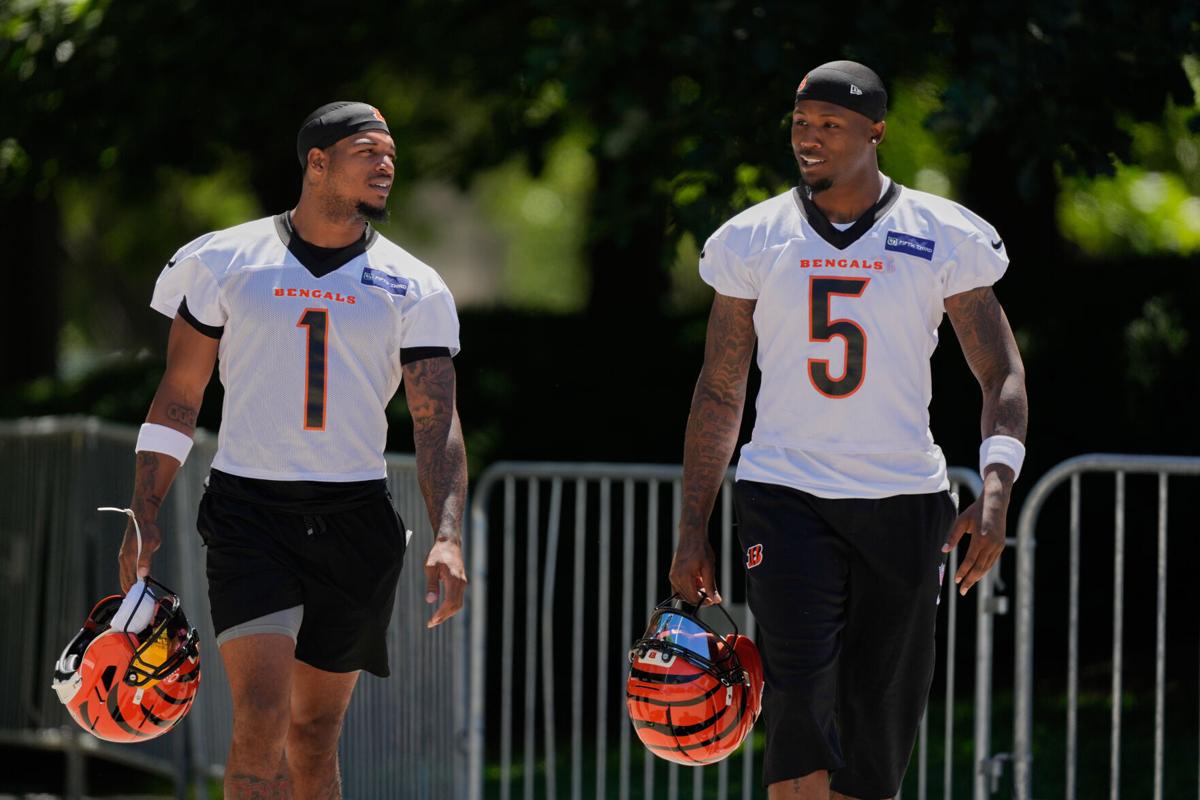 Cincinnati Bengals announce training camp schedule, six dates open to ...