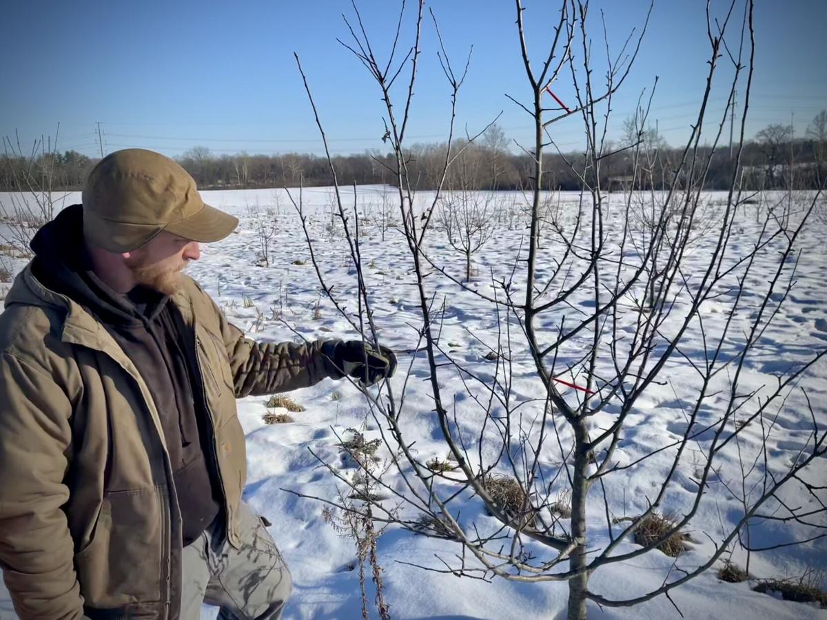 Growing apples for a decade has local farmer ready to launch ciderworks ...