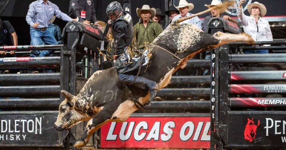 Professional bull riding event charges into Nutter Center this month ...