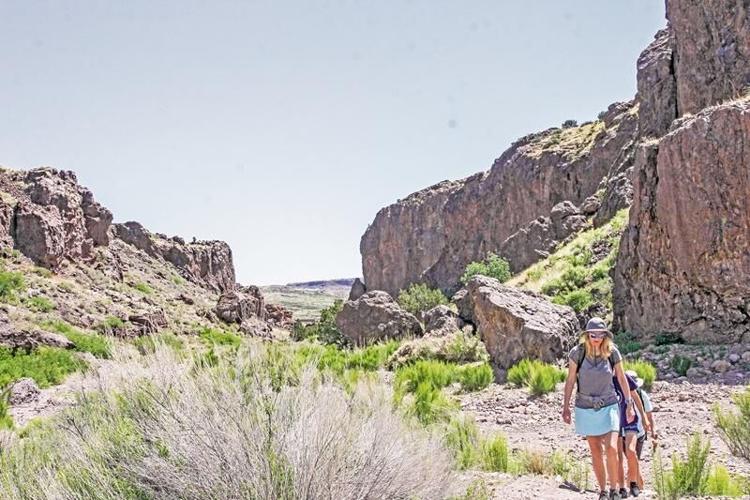 The Box: Uncover this ‘hidden’ gem | Features | dchieftain.com