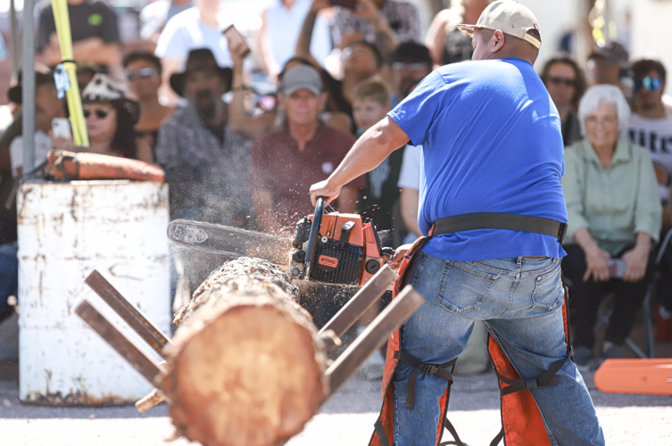 PHOTO GALLERY: County Fair Chainsaw Competition | Community ...