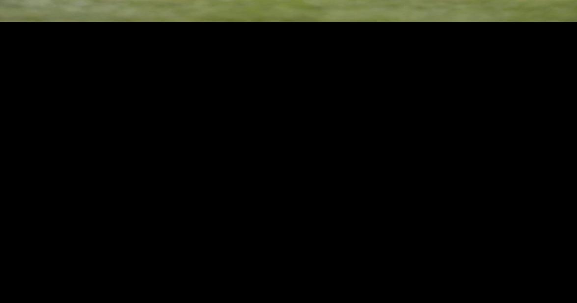 Chaplains gather for Flags In | Local | dcmilitary.com