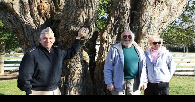 Pax River specimen trees recognized | Local | dcmilitary.com