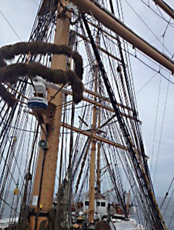 Sea Cadet learns the ropes aboard USCGC Eagle | Features | dcmilitary.com