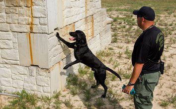 IH EOD, Charles County Sheriff’s office advance canine explosive ...