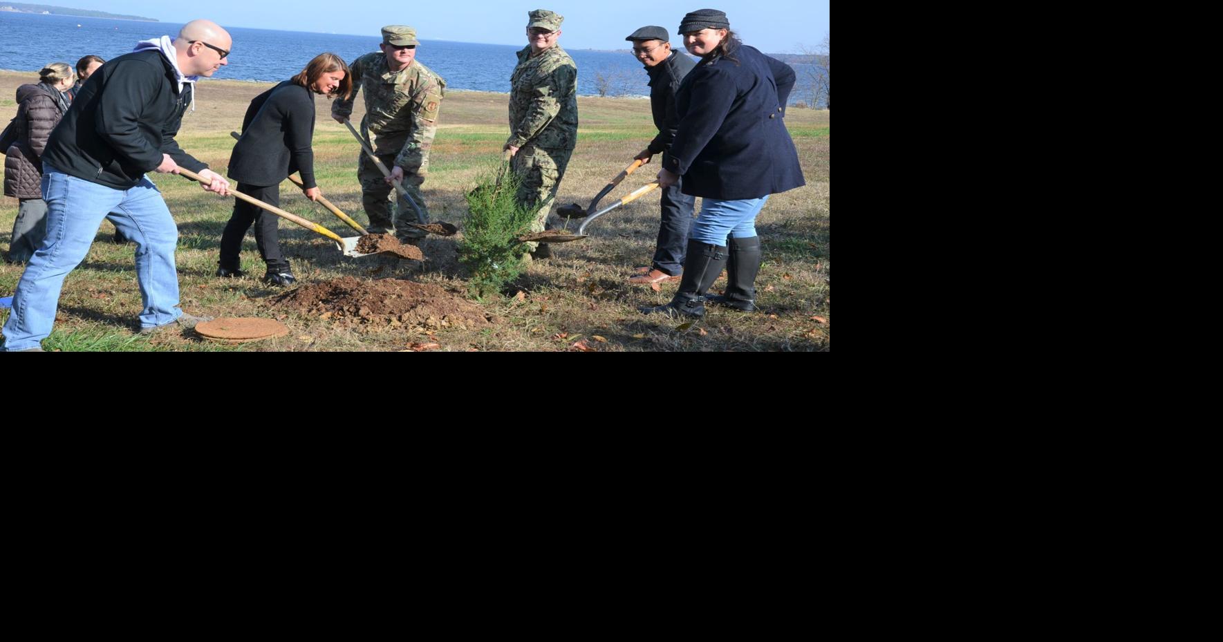 Tree planted in honor of Transgender Day of Remembrance | Local ...