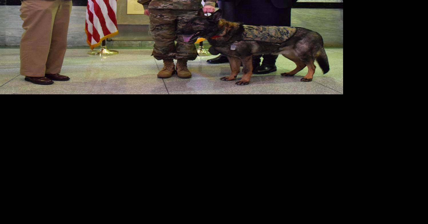 Marine Gunnery Sgt. Archie Bids Farewell, Marine Cpl. Dillion Welcomed ...